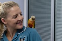 Vet in Darlington Stanhope Rd | Open Saturdays & Sundays | Medivet