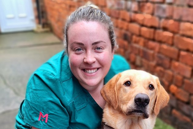 Vet in Darlington Stanhope Rd | Open Saturdays & Sundays | Medivet