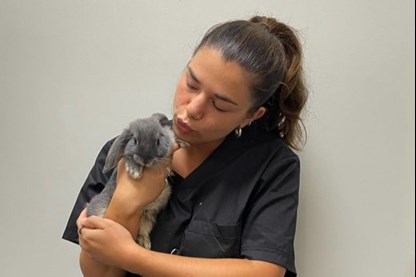 Vet in Canonbury | Open Saturdays | Medivet