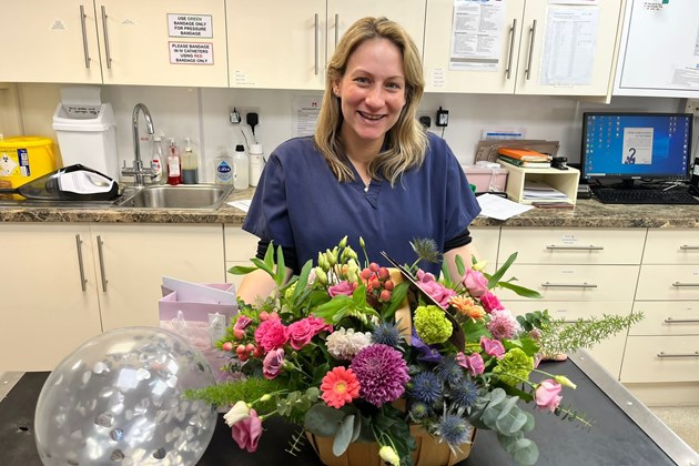 Medivet Ripon | Ripon Vet | Vet UK