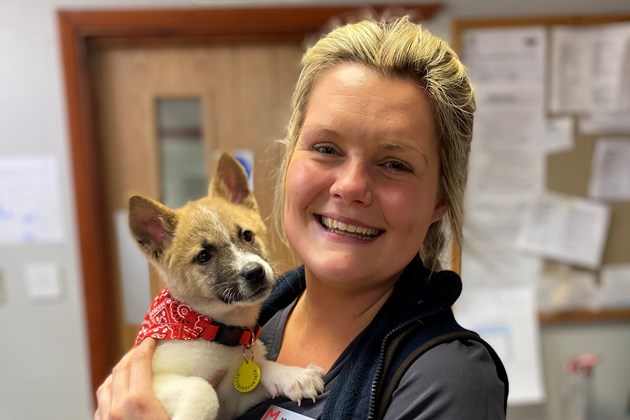 Vet in Ripon | Medivet