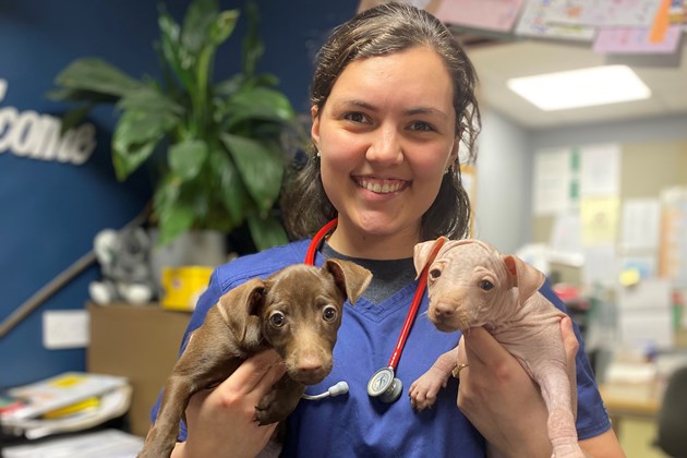 Medivet Ripon | Ripon Vet | Vet UK