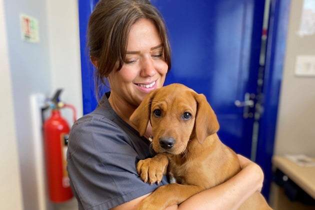 Vet in Ripon | Medivet