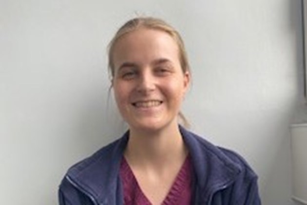 Medivet 24 Hour Southend | Emergency Vets Southend