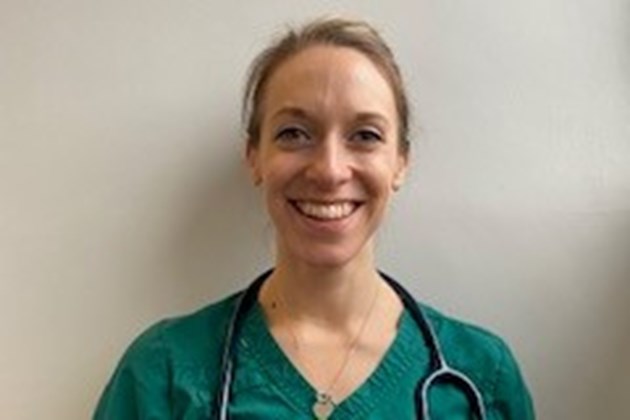 Medivet 24 Hour Southend | Emergency Vets Southend