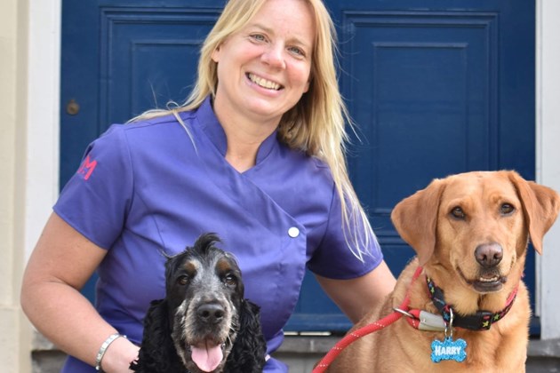 Vet in Sutton-on-Hull | Open Saturdays | Medivet