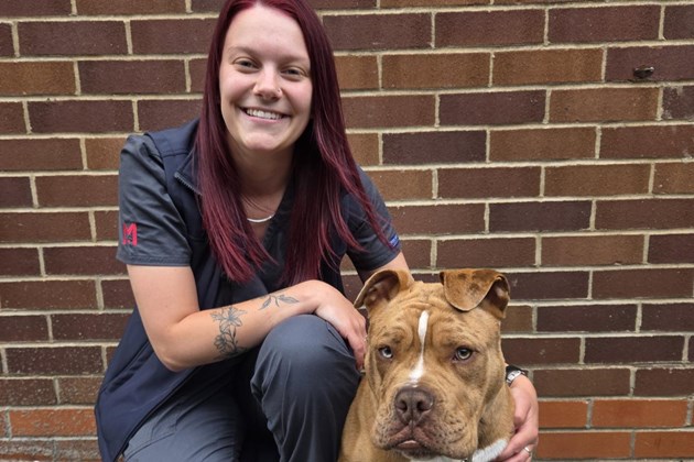 Vet in Sutton-on-Hull | Open Saturdays | Medivet