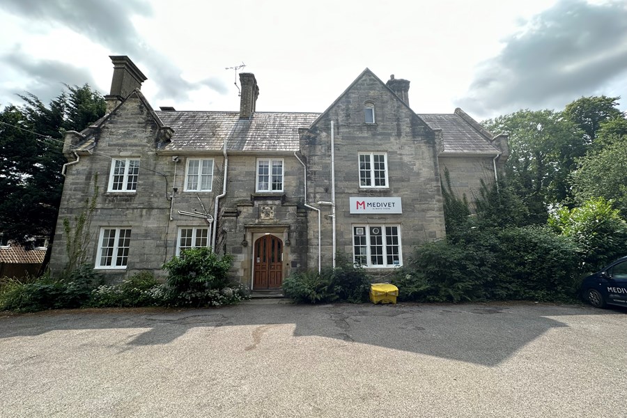 Medivet Cranbrook | Vet in Cranbrook| Medivet