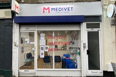 Vet in Stroud Green | London Vets | Medivet