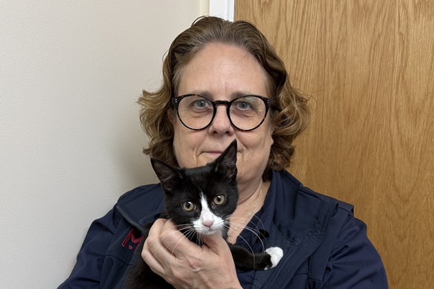 Vet in Forest Row | Open Saturdays | Medivet