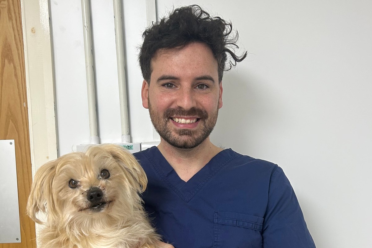 Vet in Forest Row | Open Saturdays | Medivet