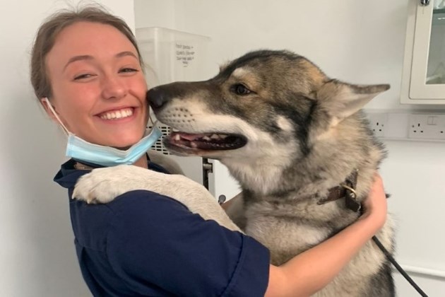 Vet in Barnes White Hart Ln | London Vets | Medivet