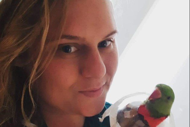 Medivet Barnes White Hart Ln | Barnes Vet | Vet UK