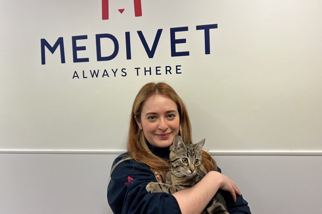 Vet in Kingsbury | Medivet