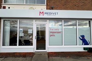 Vet in Low Fell | Gateshead Vets | Medivet