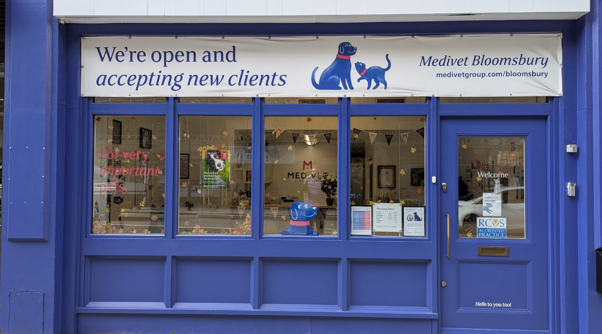 Medivet Bloomsbury | Vets in Bloomsbury | Medivet UK