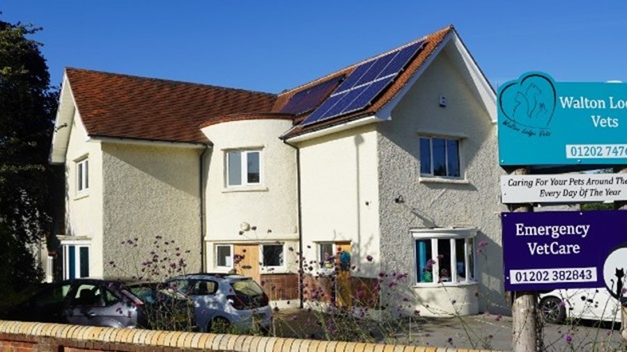 Medivet 24 Hour Poole | Vet in Parkstone | Medivet