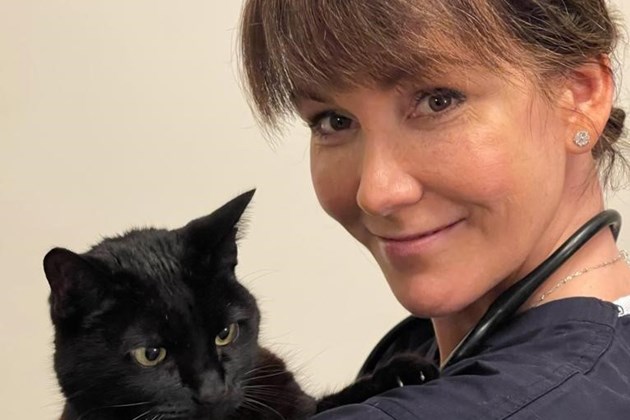 Medivet 24 Hour Poole | Vet in Parkstone | Medivet