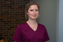 Vet in Wool | Open Saturdays | Medivet