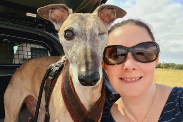 Vet in Wool | Open Saturdays | Medivet