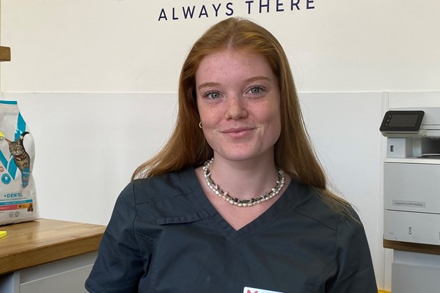 Vet in Stoke Newington | London Vets | Medivet