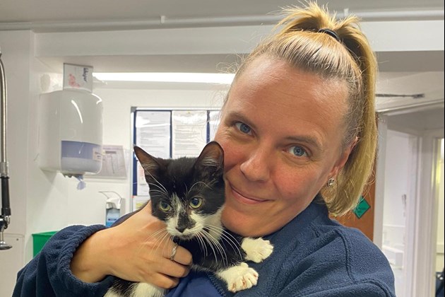 Vet in Stoke Newington | London Vets | Medivet