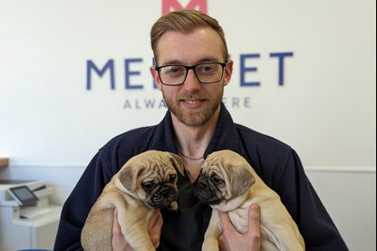 Vet in Bermuda Park | Nuneaton | Medivet