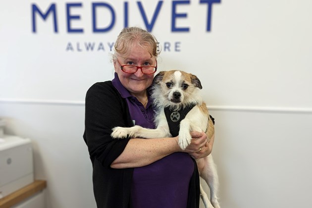 Vet in Bermuda Park | Nuneaton | Medivet