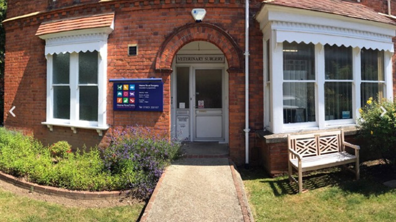 Vet in Goring-by-Sea | Vets in Worthing | Medivet