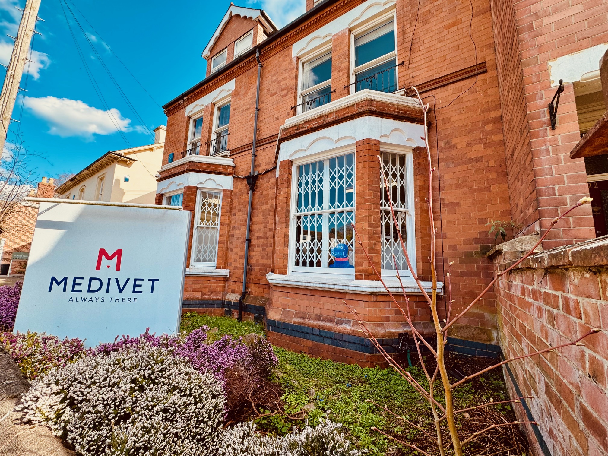 Vet in Loughborough | Medivet