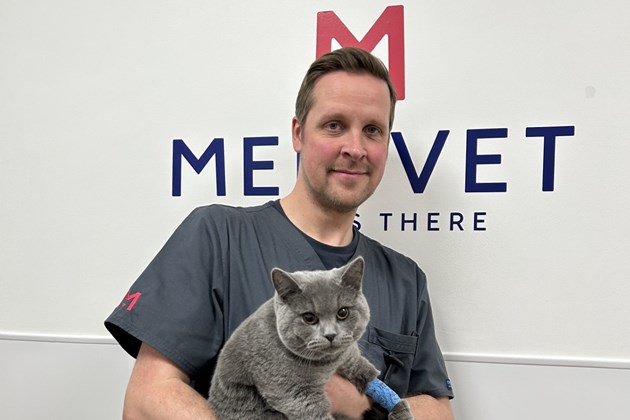 Vet in Ickenham | Open Saturdays | Medivet