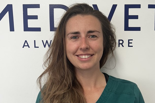 Vet in Flitwick | Open Saturdays | Medivet