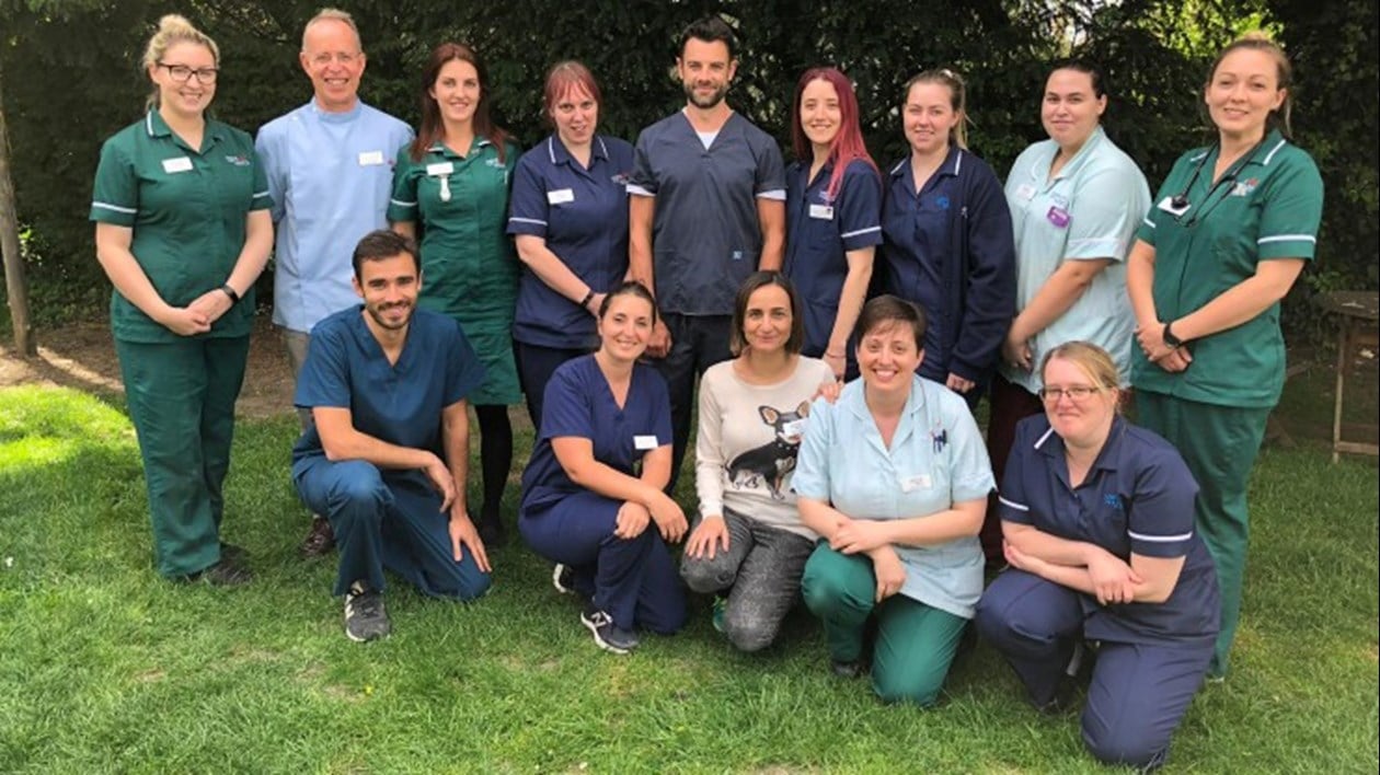 Medivet 24 Hour Hendon | Emergency Vets Hendon