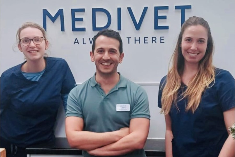 Vet in Southwark | Open Saturdays | Medivet