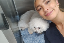 Vet in New Cross | Open Saturdays | Medivet