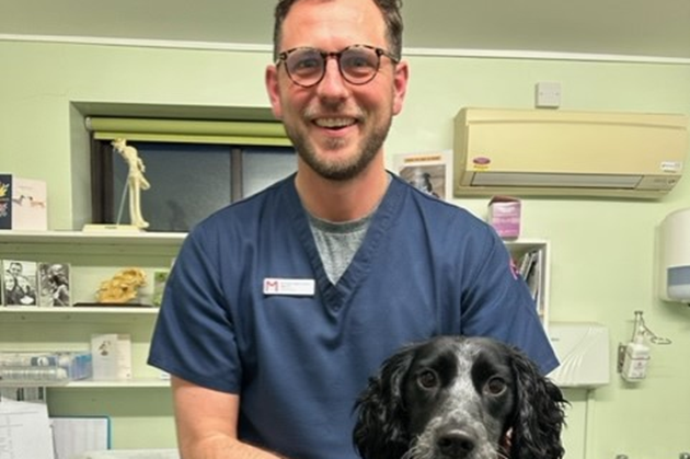 Vet in Orrell Park | Liverpool | Medivet
