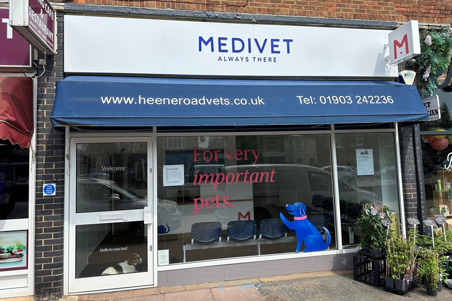 Vet in Goring-by-Sea | Vets in Worthing | Medivet