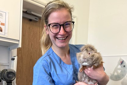 Vet in Goring-by-Sea | Vets in Worthing | Medivet