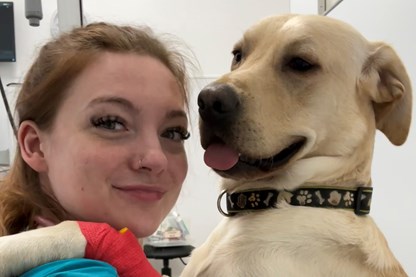 Vet in Goring-by-Sea | Vets in Worthing | Medivet