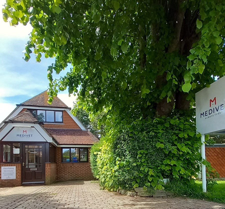 Vet in Rustington | Medivet