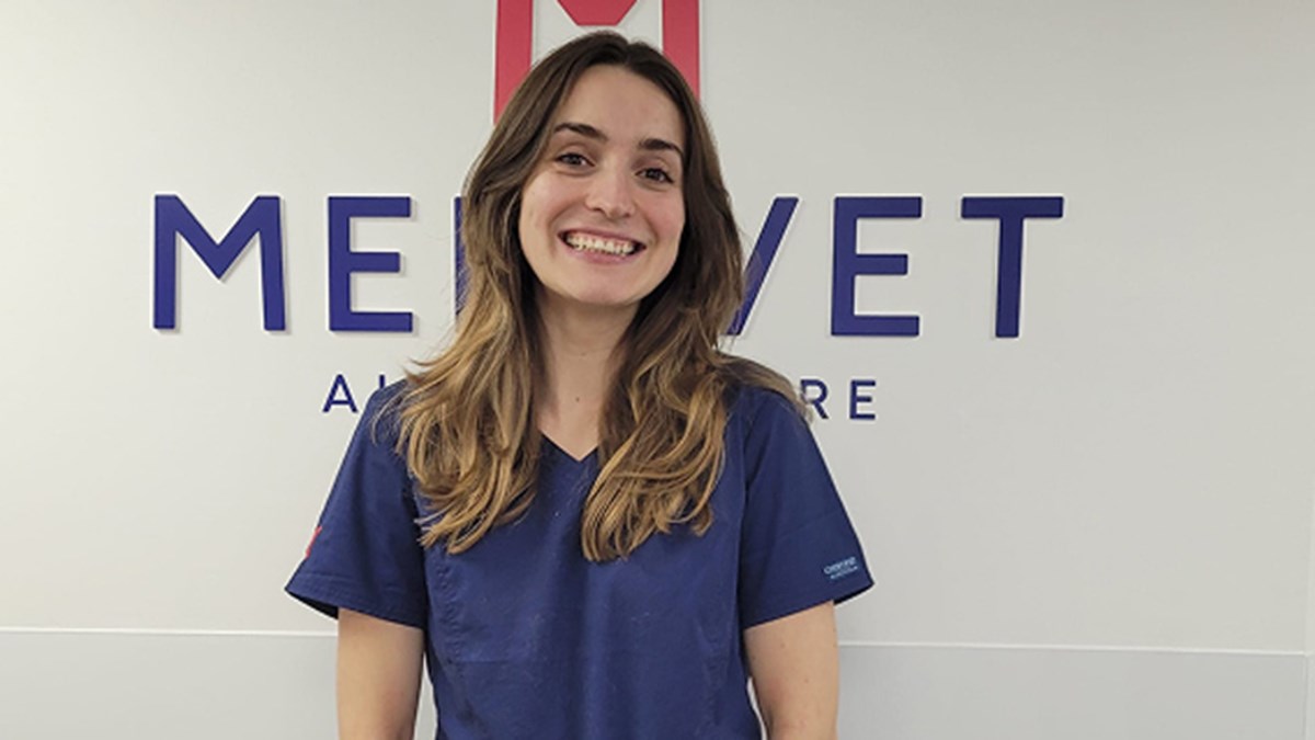 Medivet and Partners