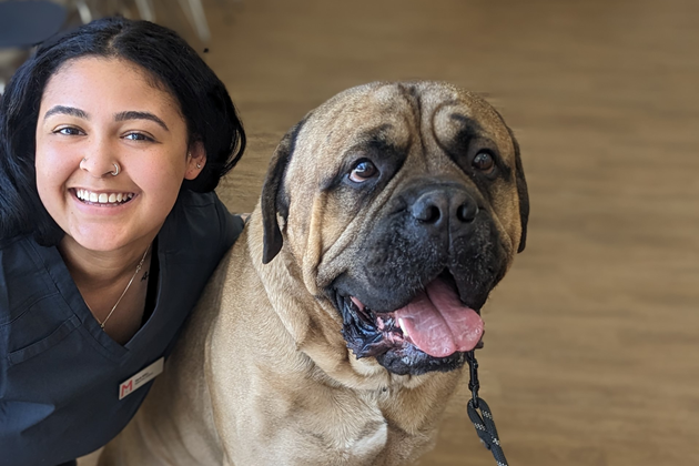 Medivet Yeading | Vet in Yeading | Medivet