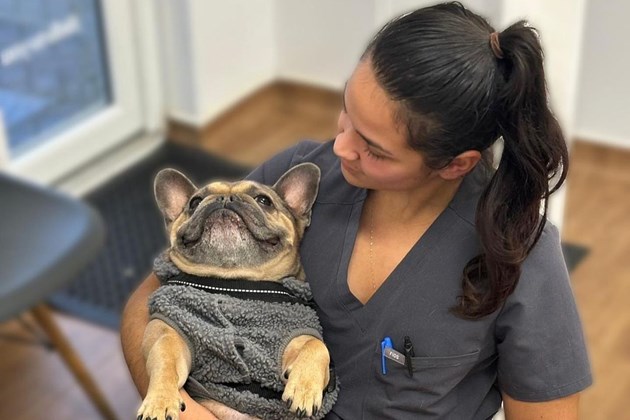 Vet in Hampstead Garden Suburb | Medivet