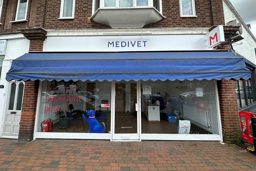 Vet in Ashtead | Medivet