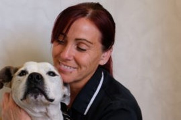 Vet in Middleton St George | Medivet