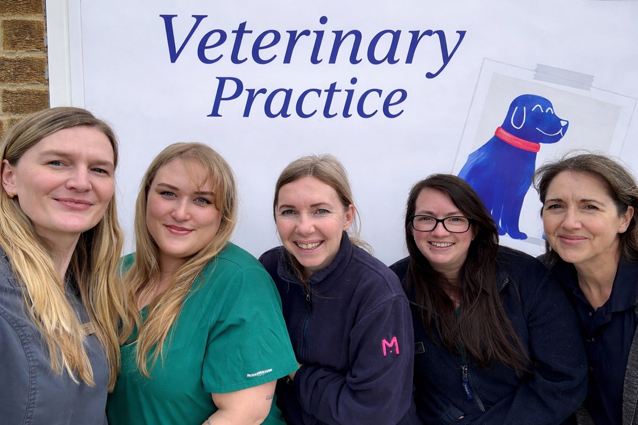 Vet in Eynsham | Medivet