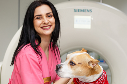 Medivet 24 Hour Dorchester | Dorchester Vet | Vet UK