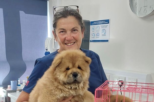 Medivet 24 Hour Dorchester | Dorchester Vet | Vet UK