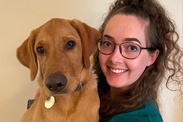 Medivet 24 Hour Dorchester | Dorchester Vet | Vet UK