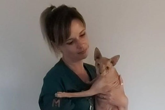 Medivet 24 Hour Dorchester | Dorchester Vet | Vet UK